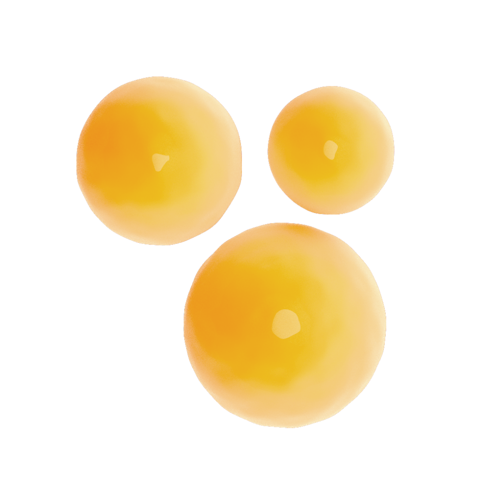 INTERCEPT Platelets - EMEA